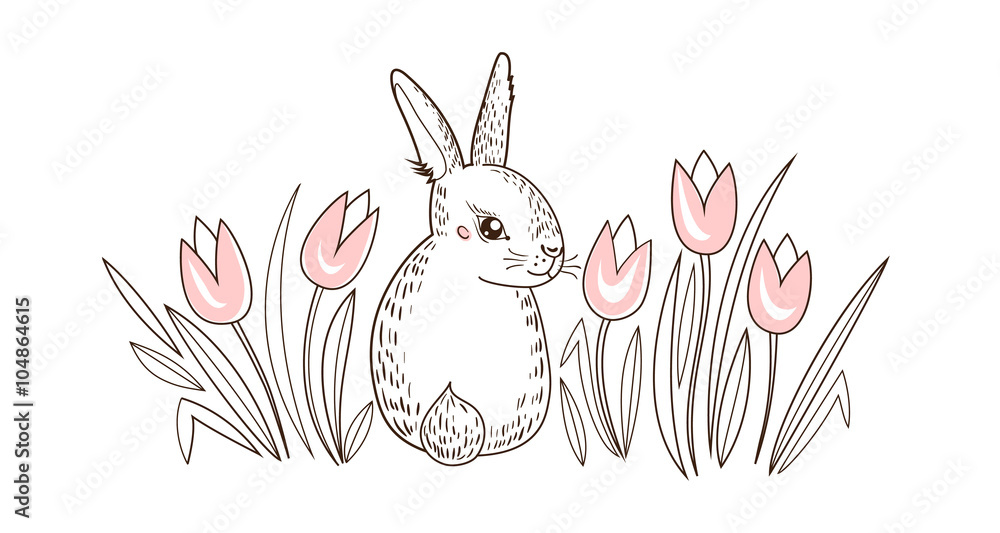 Funny Bunny Rabbits Drawing