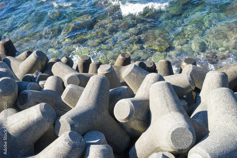 Tetrapod Stock Photo | Adobe Stock