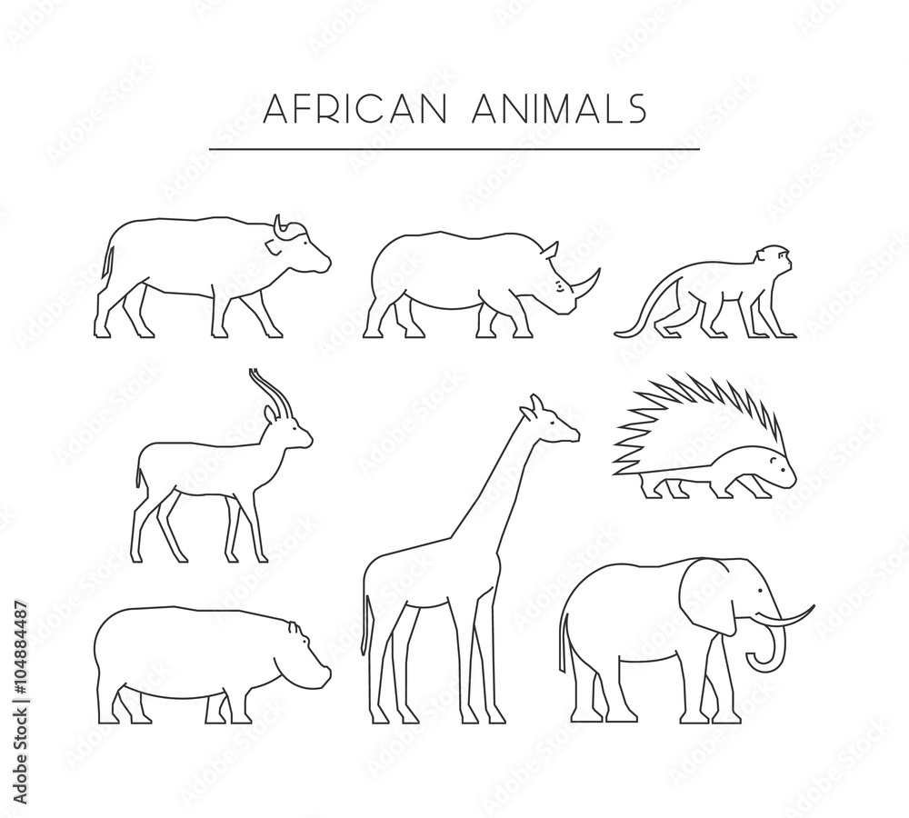 Vector line african animals. Outline icons african animals. Stock ...