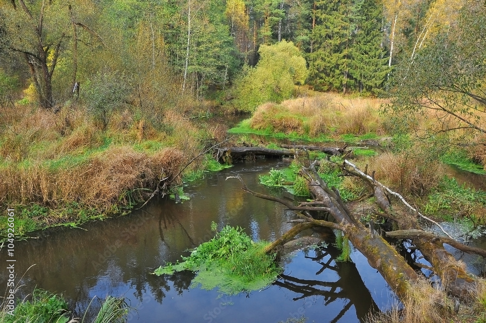 Meshchera lowlands is not very rich in rivers. Flat, devoid of hills ...