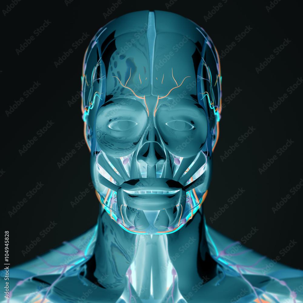 Human anatomy 3D futuristic technology scan. Head and face. Vibrant ...