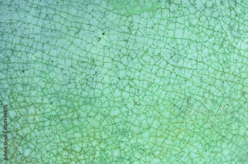 Green crack texture / Celadon background Stock Photo | Adobe Stock