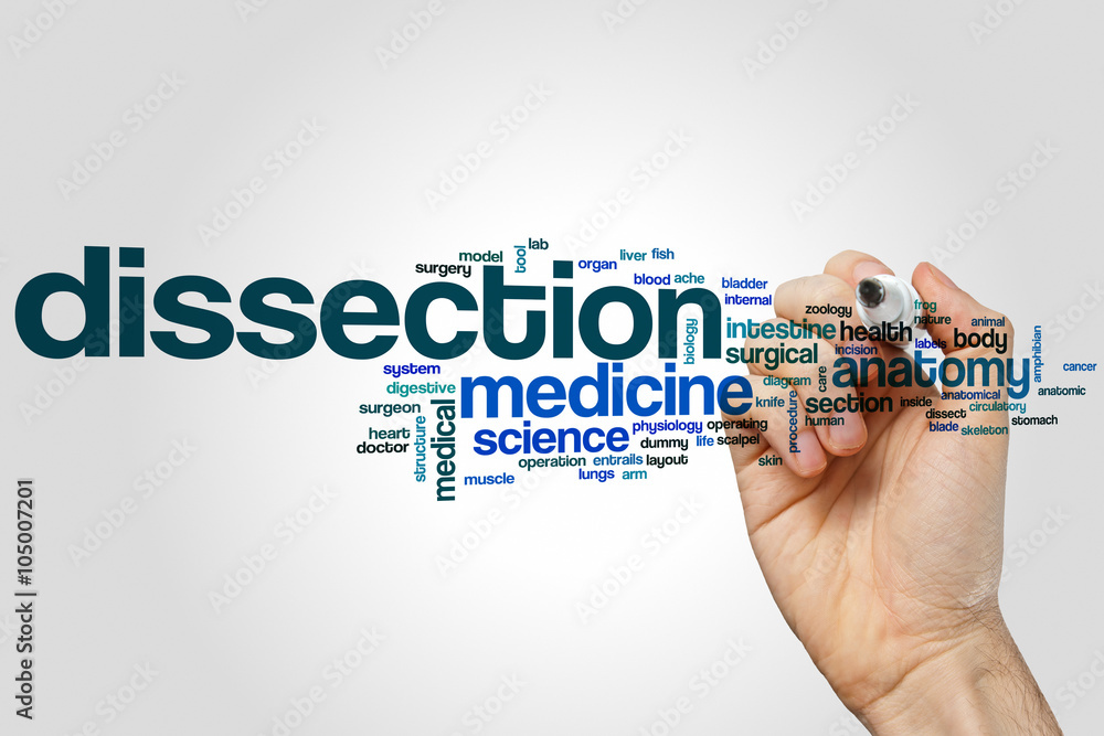 Dissection word cloud Stock Photo | Adobe Stock