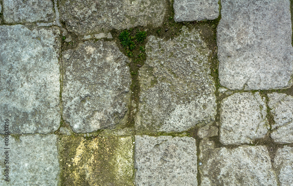 cobblestone with grass texture , stone path with grass texture ...