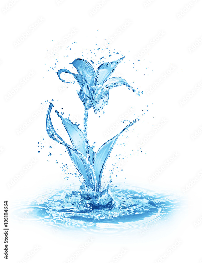 flower figure made of water on white background Stock Photo | Adobe Stock