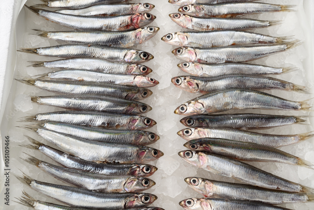 pesce azzurro crudo alici in contenitore con ghiaccio Stock Photo ...