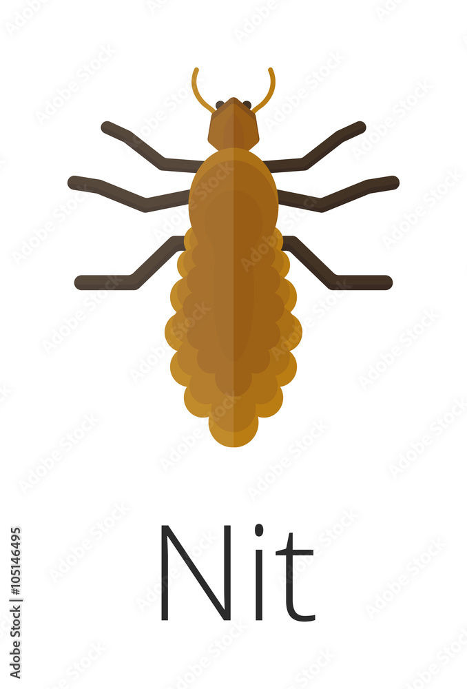Nit skin parasite insect bug . Stock Vector | Adobe Stock