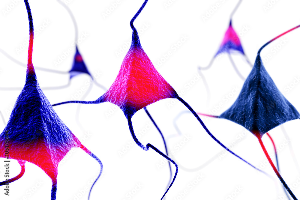 Illustration of neurons isolated on white background, model of nervous ...