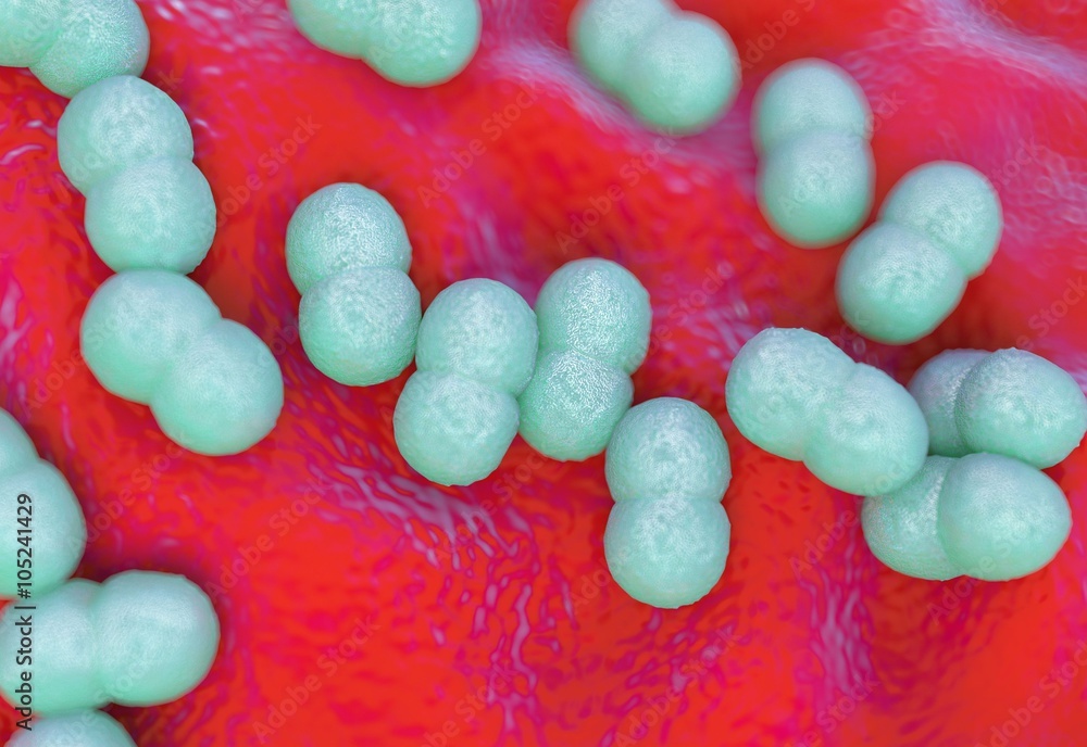 Staphylococcus epidermidis bacteria Stock Illustration | Adobe Stock