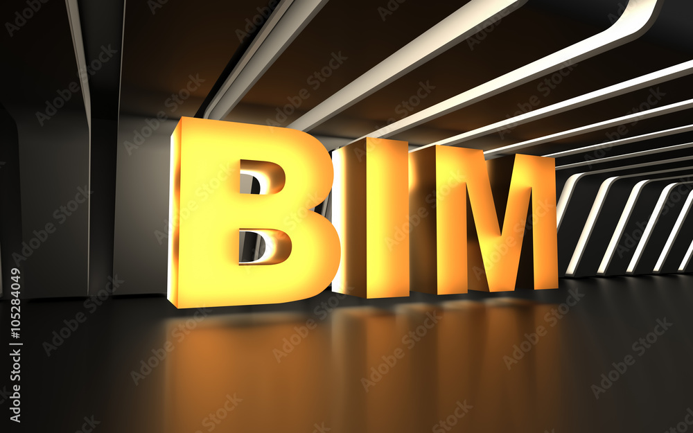 BIM - Building Information Modeling Stock Illustration | Adobe Stock