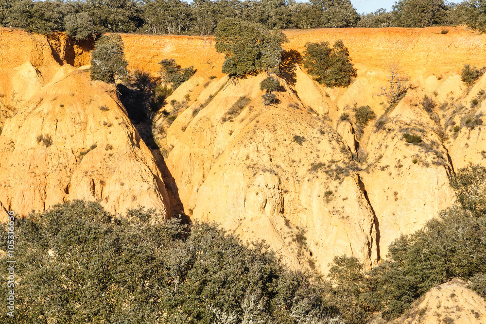 Cárcavas Barrancos De Arcilla Y Encinas Las Torcas Barrientos León