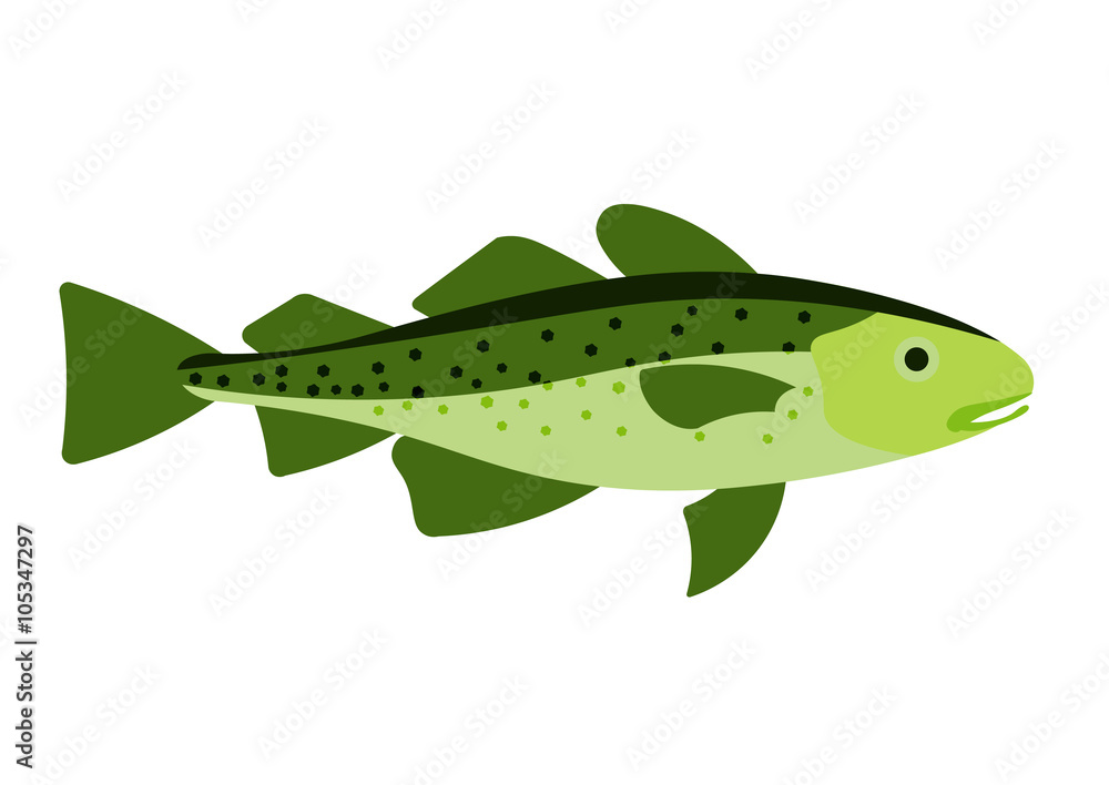 Cod fish vector illustration. Cod fish on white background. Cod fish ...