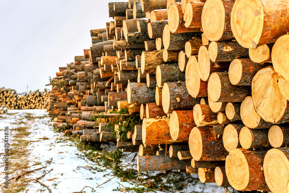 logs closeup, pine logs, russian winter Stock Photo | Adobe Stock