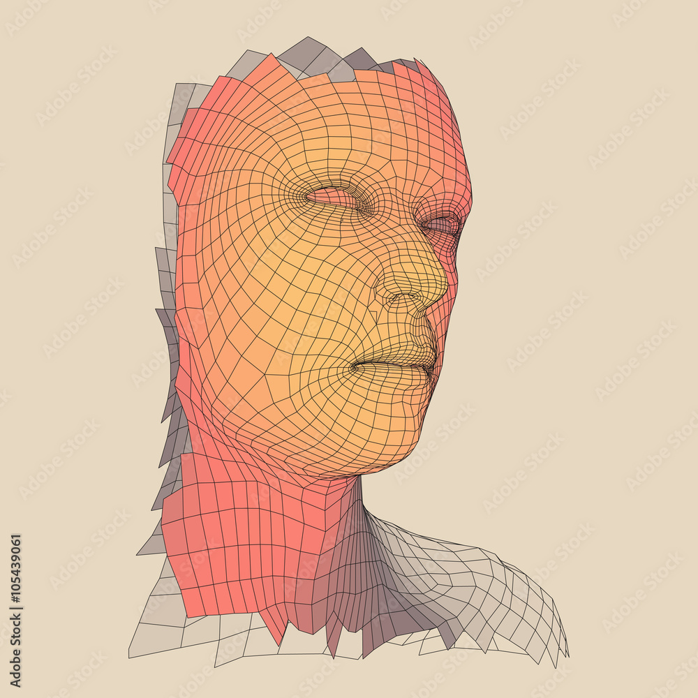 Head of the Person from a 3d Grid. Human Head Wire Model. Human Polygon ...