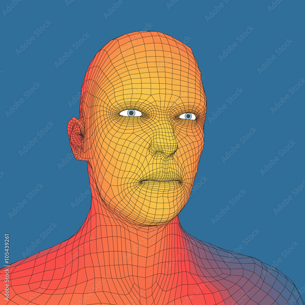 Head of the Person from a 3d Grid. Human Head Wire Model. Human Polygon ...