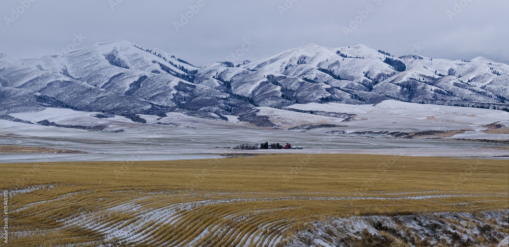 Photo & Art Print Farm on the East Side of the Sublette Range, larson755