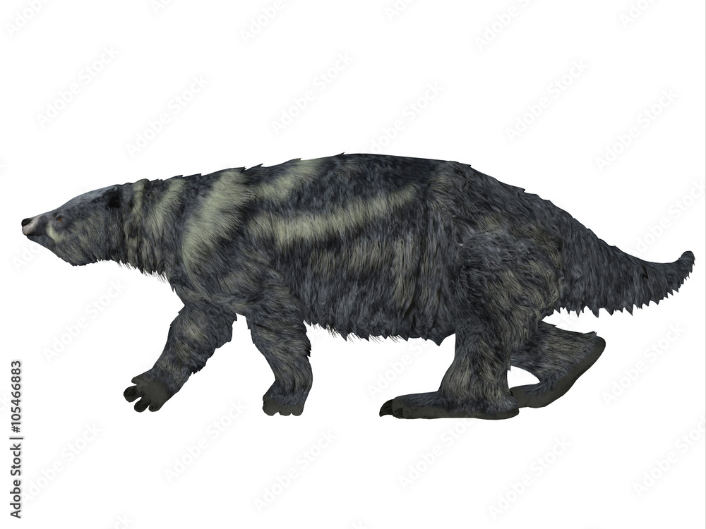 Eremotherium Sloth Side Profile - Eremotherium was one of the largest ...