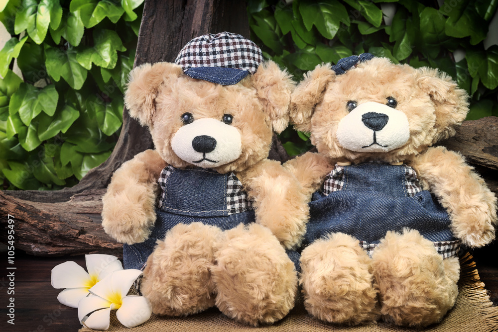 couple teddy bears on graden background Stock Photo | Adobe Stock