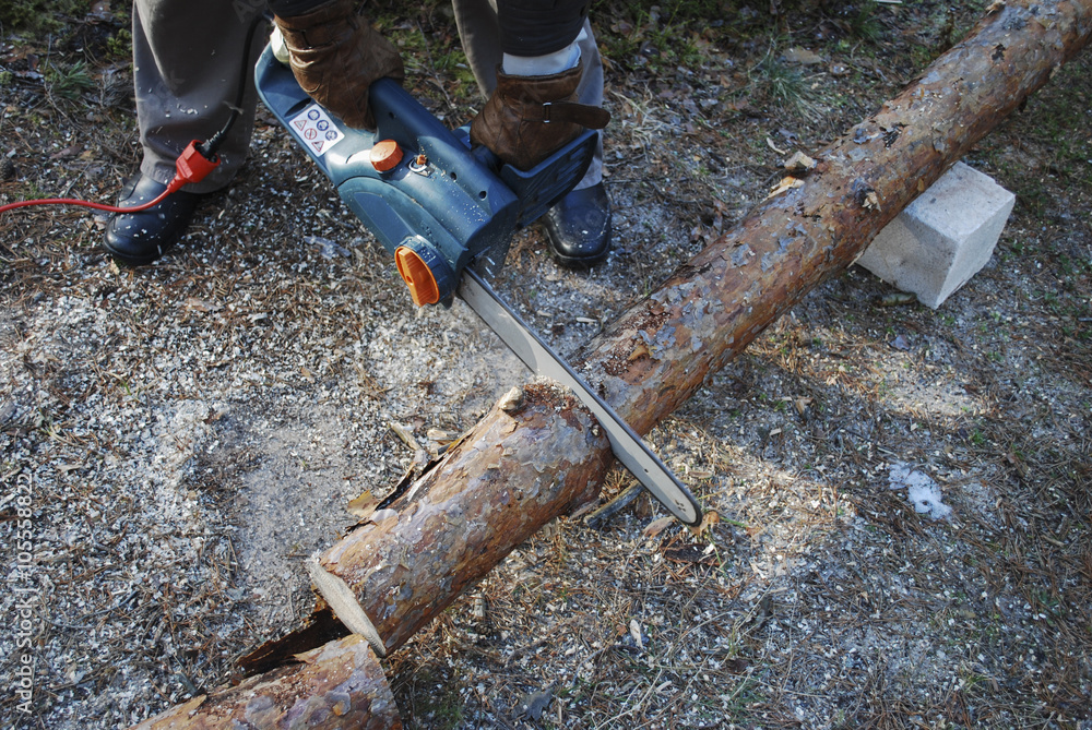 Men's hands hold the electrician saw. Cut down a tree in the forest ...