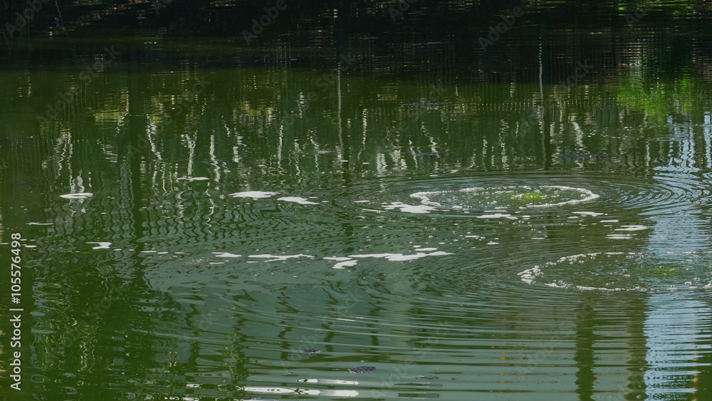 Video Stock La Brea Tar Pits Methane Gas Bubble Sets From Seismic Fault ...