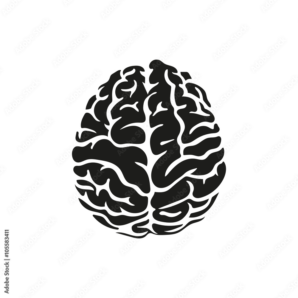 Vector illustration of human brain on white background Stock Vector ...