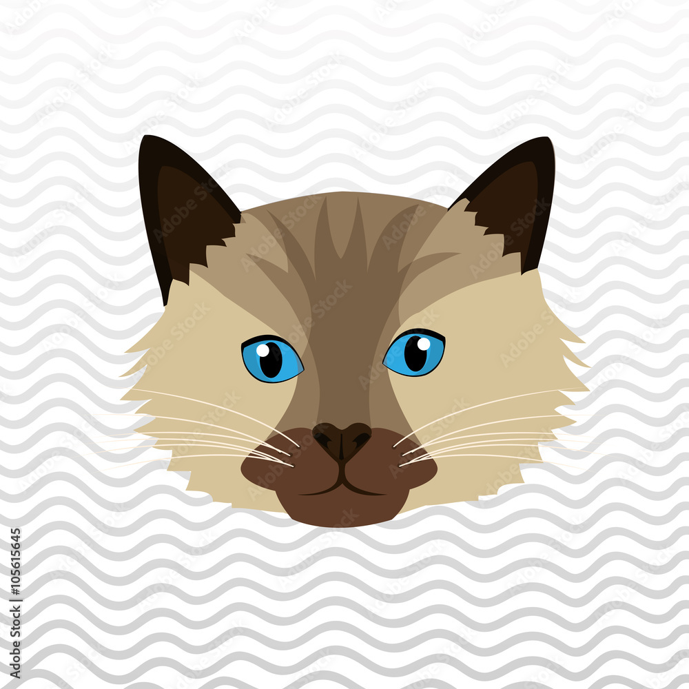 cute cat design vector de Stock | Adobe Stock