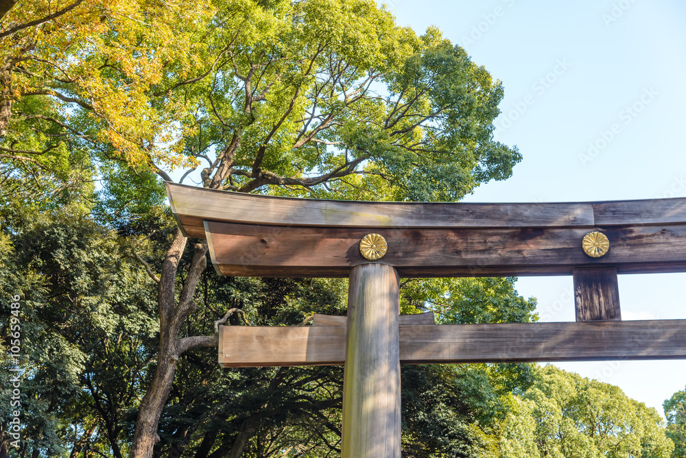 Torii of Meiji-jingu in Tokyo, Japan. The most popular historical ...