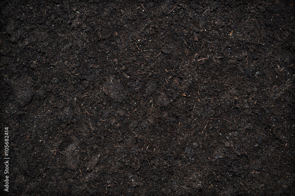 Soil texture background Stock Photo | Adobe Stock