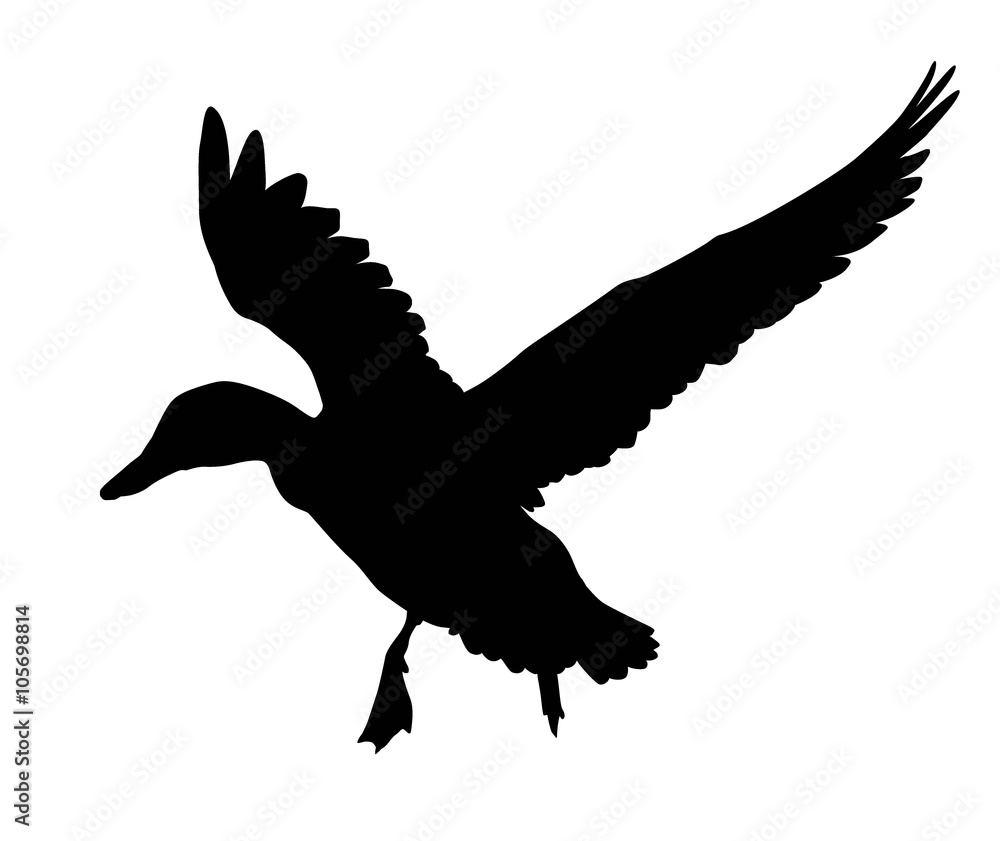 Vector duck flying. Silhouette Stock Vector | Adobe Stock