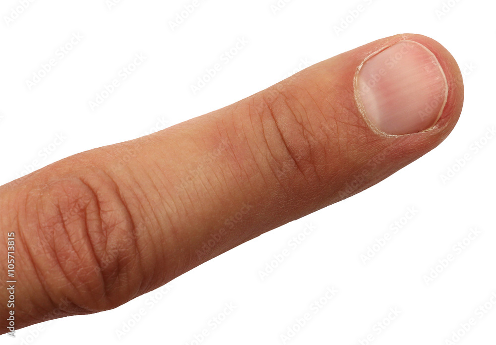 human index finger on white background, isolated Stock Photo | Adobe Stock
