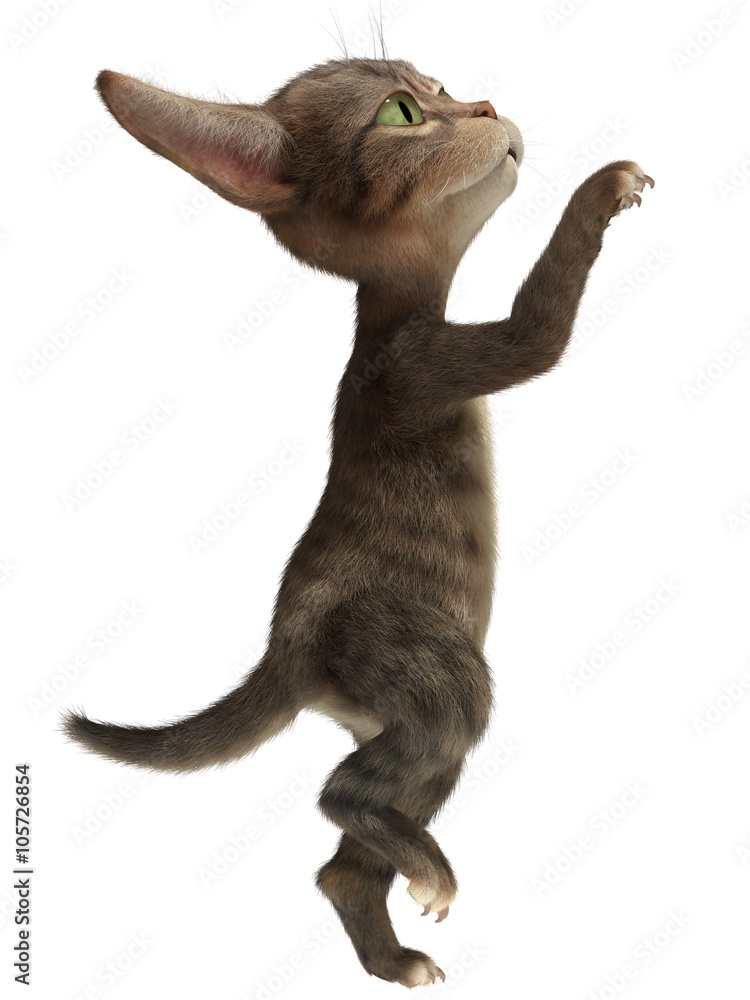 3D cat standing on his hind legs with an outstretched paw up. Isolated ...