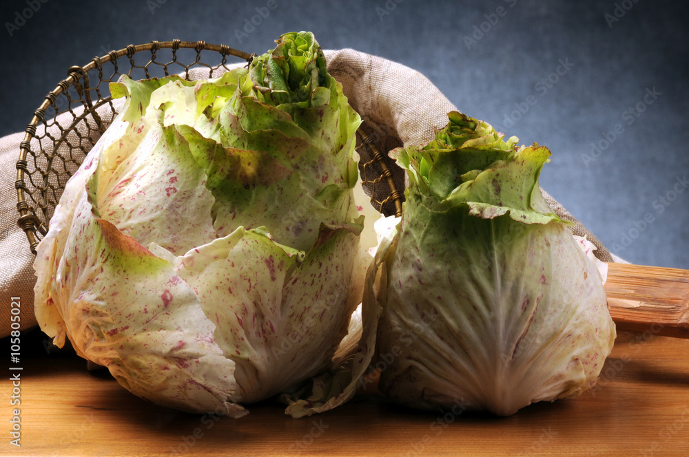 Radicchio Variegato di Castelfranco Veneto Photos | Adobe Stock