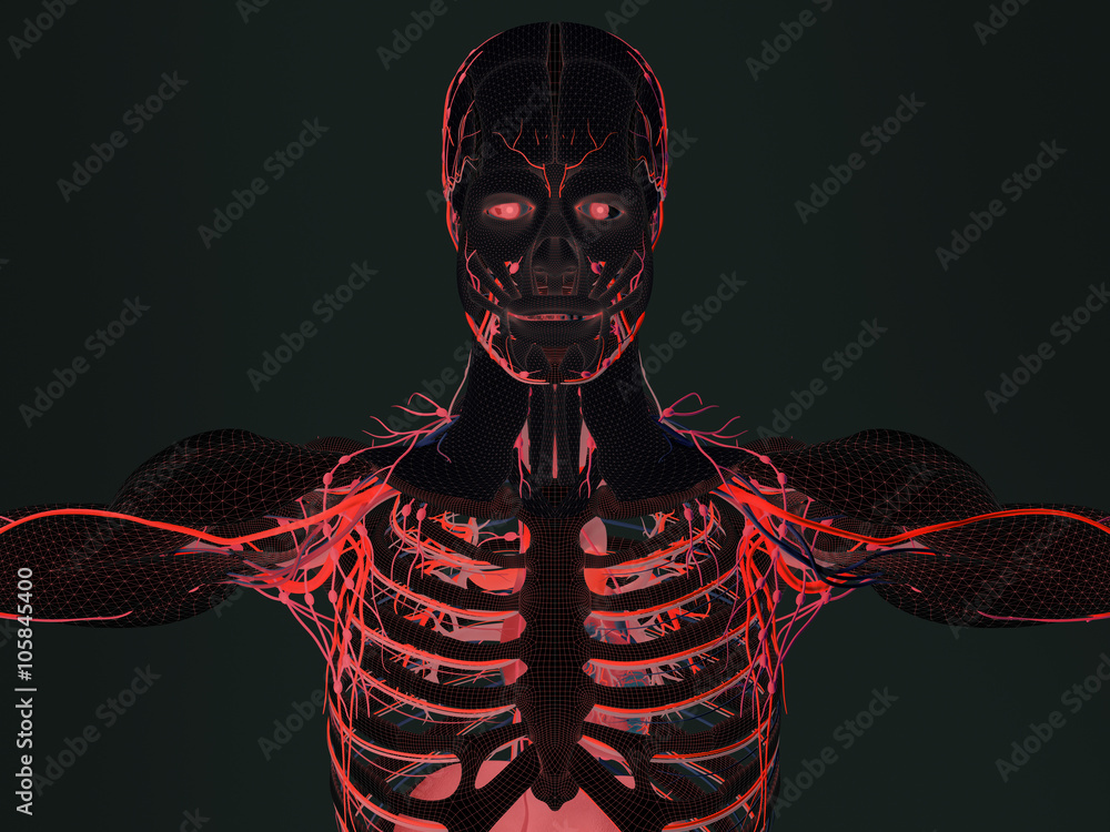 Human anatomy wire frame mesh futuristic scan vivid colors. Body ...
