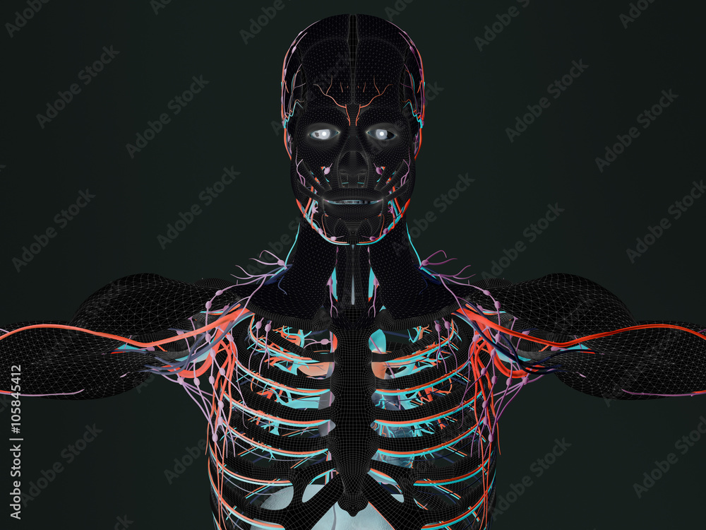 Human anatomy wire frame mesh futuristic scan vivid colors. Body ...