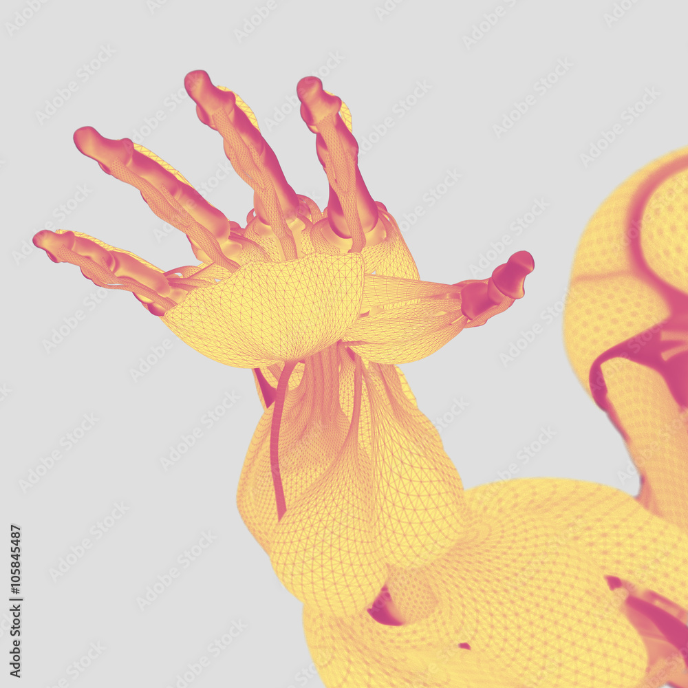 Human anatomy wire frame mesh futuristic scan vivid colors. Body ...