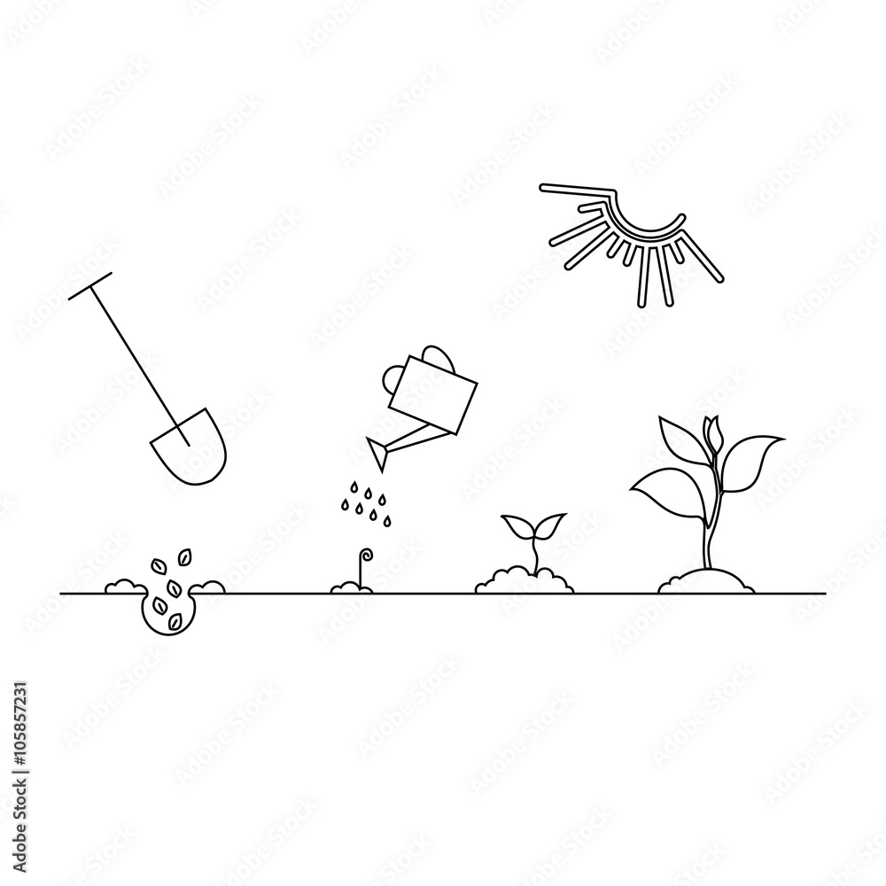 Timeline infographic of planting tree process Stock Vector | Adobe Stock