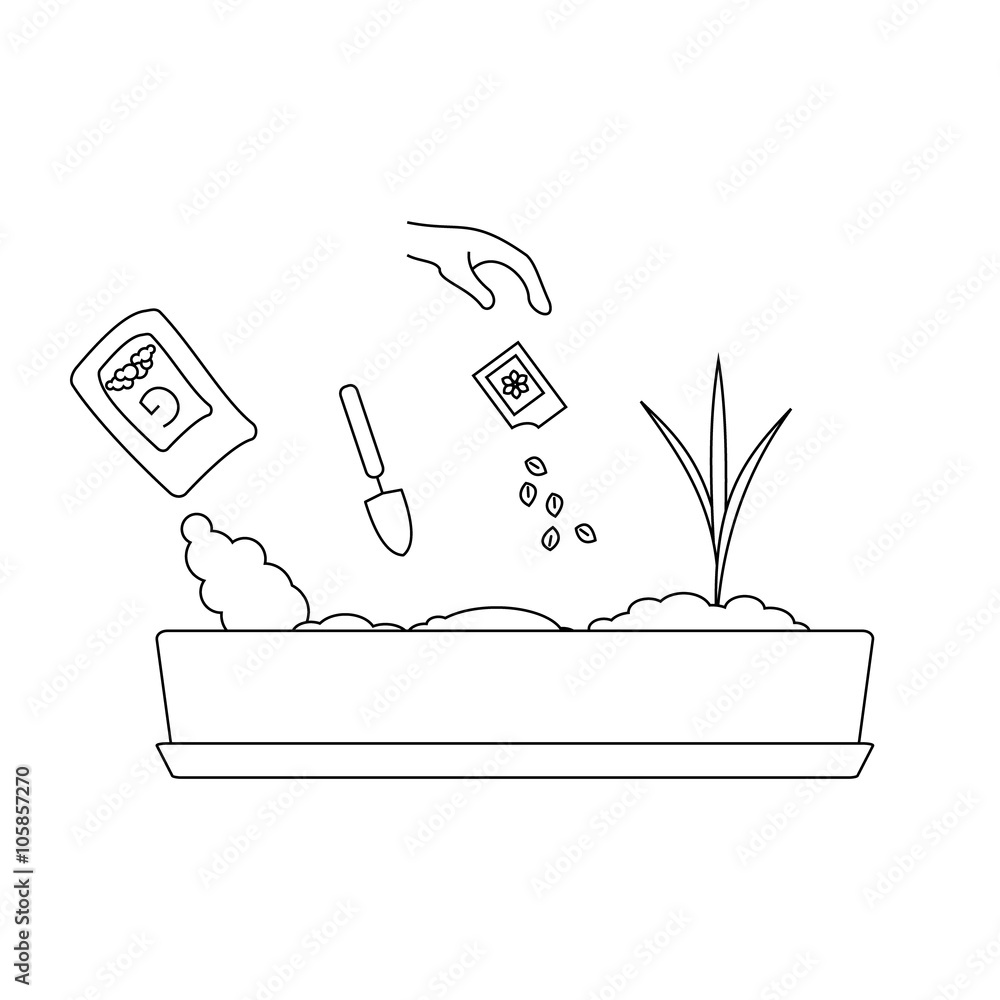 Timeline infographic of planting tree process Stock Vector | Adobe Stock