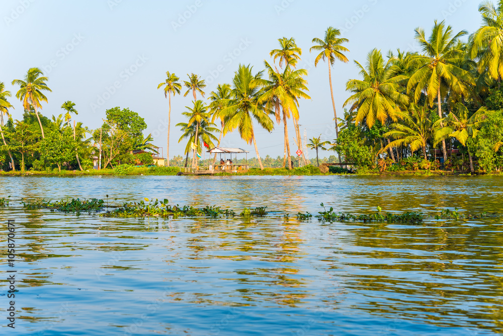 Tropical river with coconut trees and water plants. Pamba river (a part ...