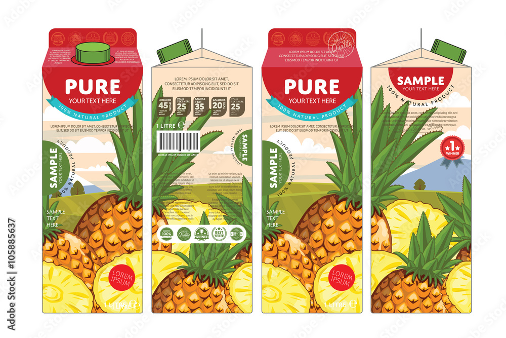 Pineapple Juice Carton Cardboard Box Pack Design Stock Vector | Adobe Stock