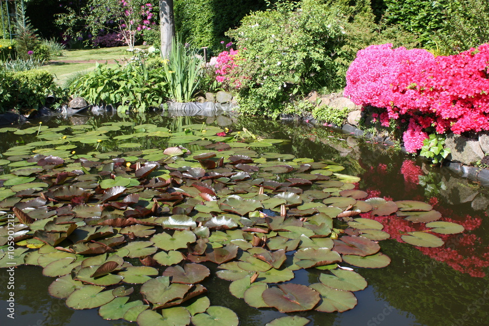 Teich, Gartenteich, Seerosen Stock Photo | Adobe Stock