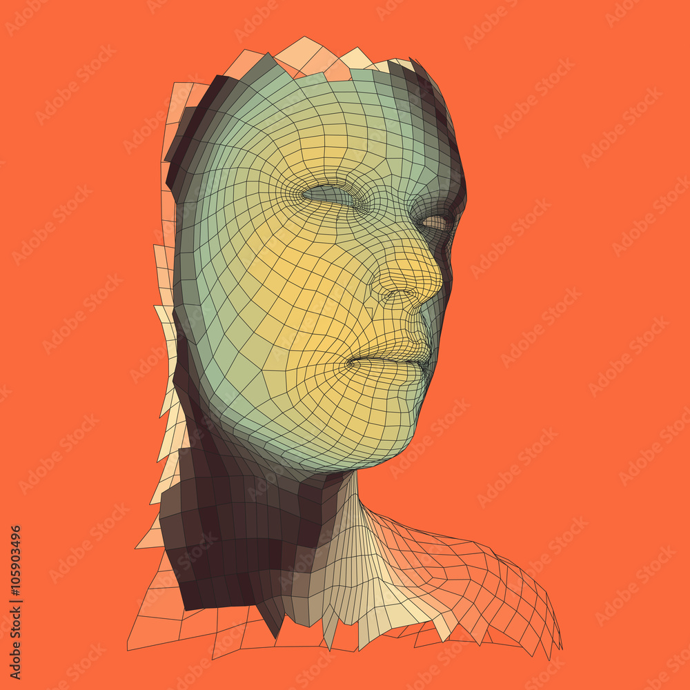 Head of the Person from a 3d Grid. Human Head Wire Model. Human Polygon ...