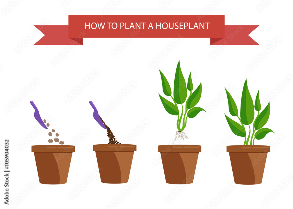 llustration of houseplants. home flowers, houseplant in pot. Set of ...