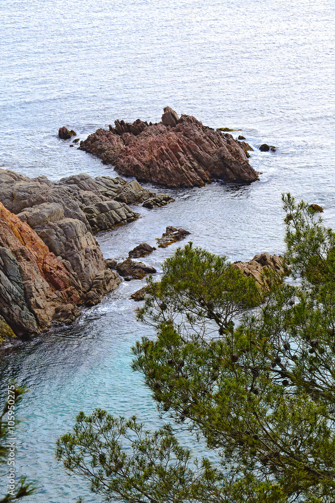 costa brava mar pinos y calas en la costa brava girona Stock Photo ...
