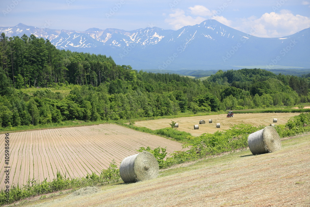 japanese view in hokkaido Stock Photo | Adobe Stock