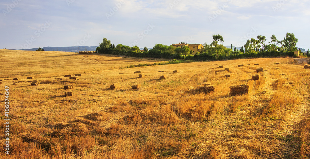 campi coltivati Stock-Foto | Adobe Stock