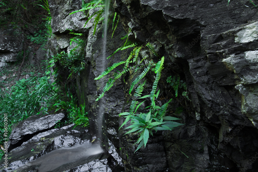 J C Slaughter Falls is a cascade waterfall located near Mt Coot-tha in ...
