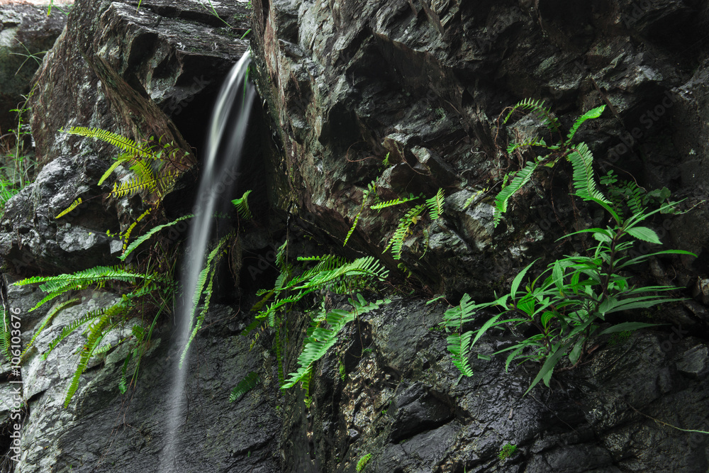 J C Slaughter Falls is a cascade waterfall located near Mt Coot-tha in ...