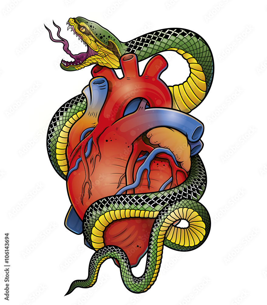 snake and anatomical heart Stock Vector | Adobe Stock