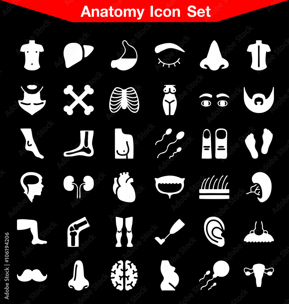 anatomy icon set Stock Vector | Adobe Stock