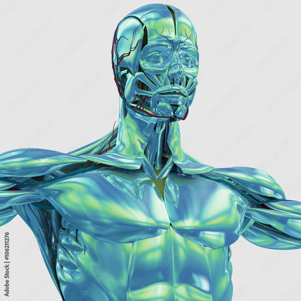 Chrome man anatomy. 3D Illustration. Human body with reflective ...
